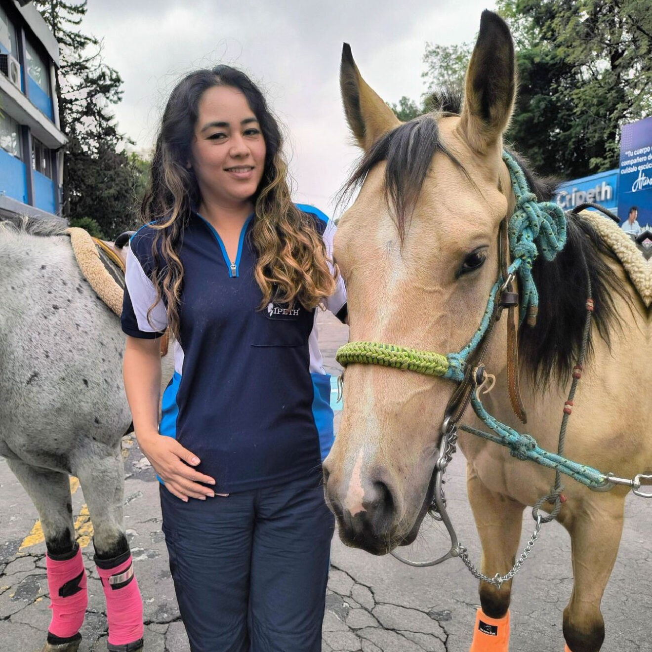 Instituto Profesional en Terapias y Humanidades - IPETH